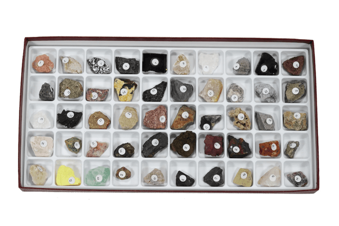 Metamorphic Rock Collection, 15 Specimens – Arbor Scientific