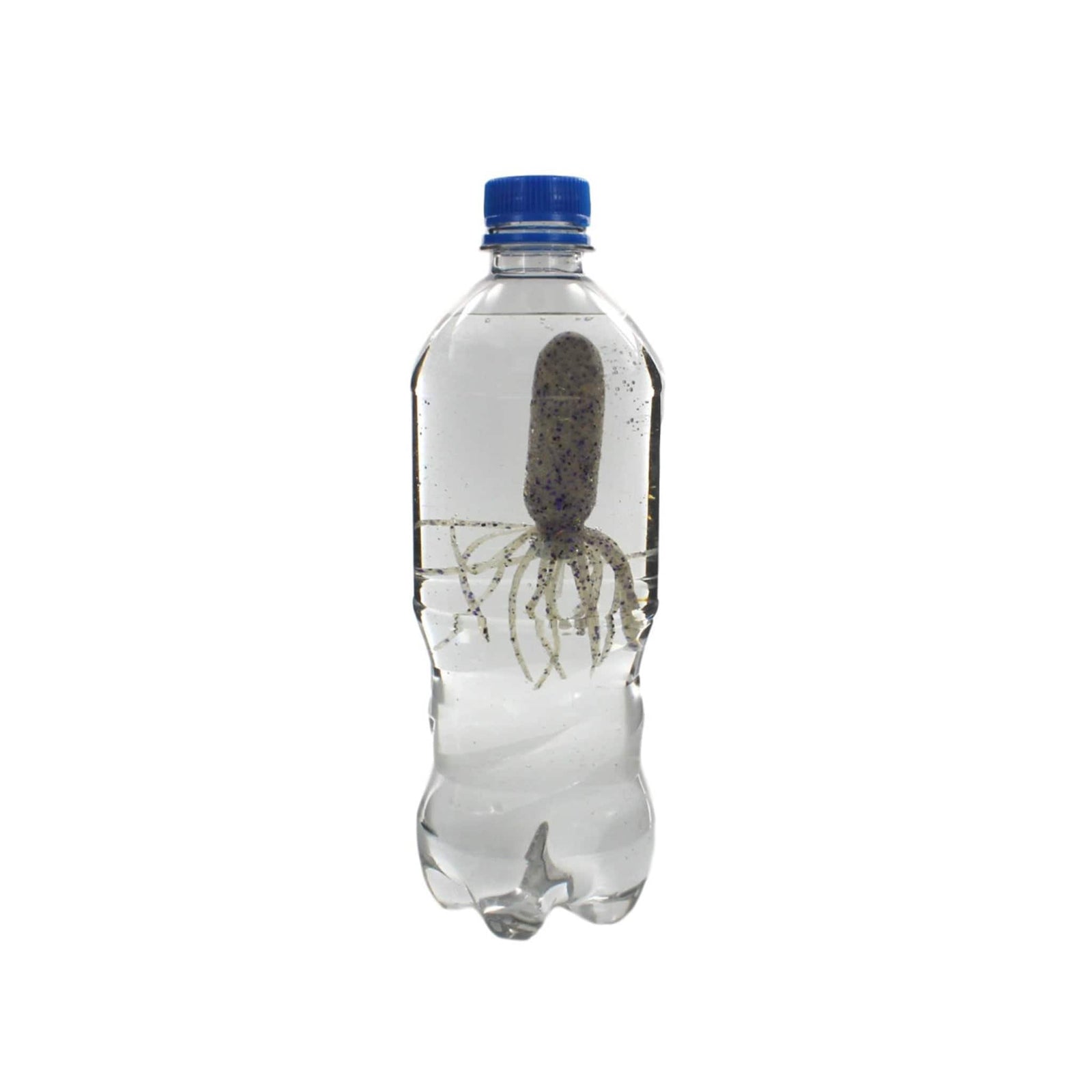 Single Cartesian Diver – Arbor Scientific