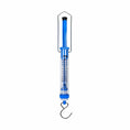 250g Push-Pull Spring Scale - Arbor Scientific