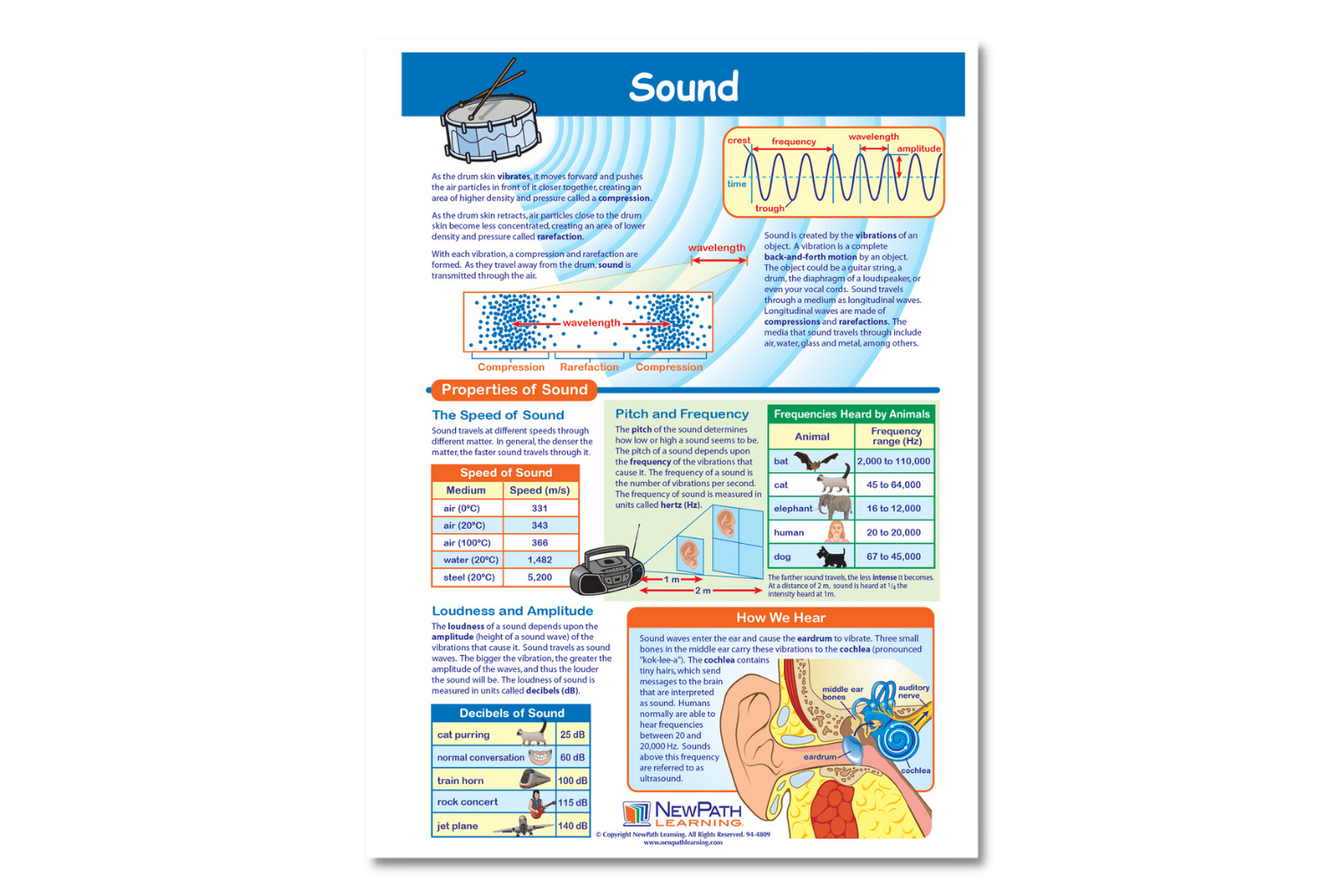 NewPath Learning Sound Learning Center Game, Gr. 6-9 - Arbor Scientific