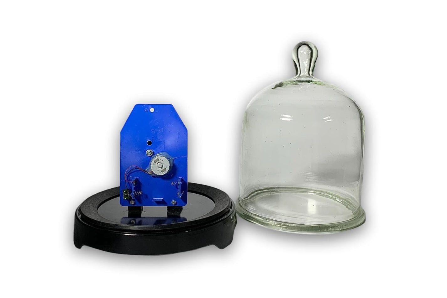 Bell Jar and Ringer - Arbor Scientific