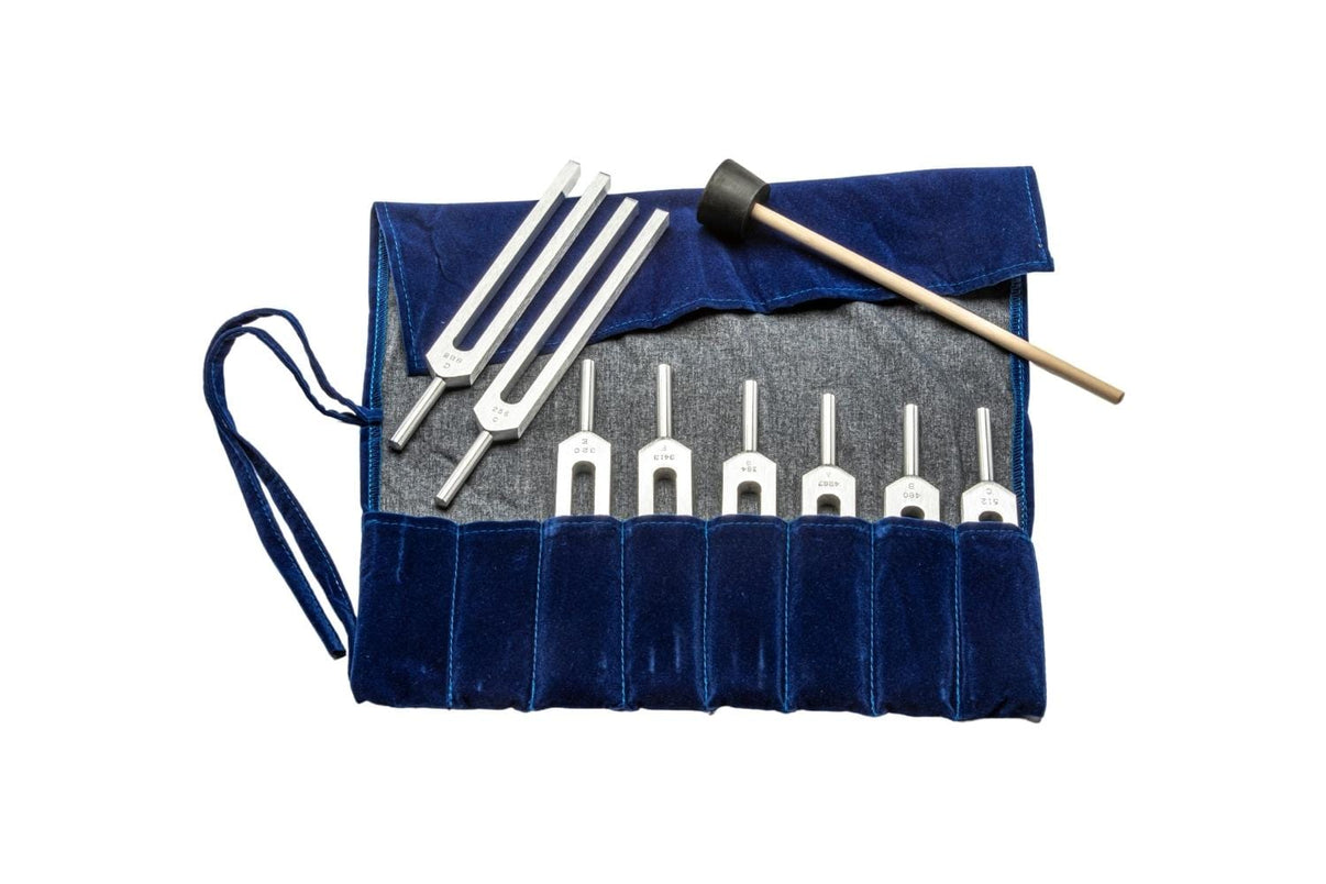 Complete Set of Tuning Forks - Arbor Scientific