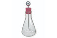 Electroscope Flask, Static Charge - Arbor Scientific