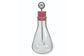 Electroscope Flask, Static Charge - Arbor Scientific