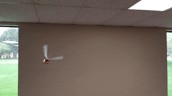 Flying Pig with Flapping Wings - Arbor Scientific