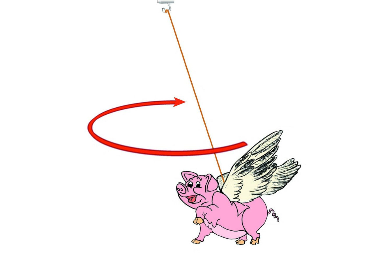 Flying Pig with Flapping Wings - Arbor Scientific
