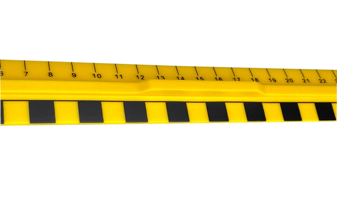 Finger Grip Metric Ruler 10 pack – Arbor Scientific