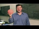 Doppler Ball - Doppler Ball – Arbor Scientific