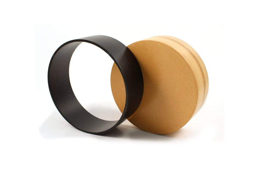 Ring and Disk Apparatus - Arbor Scientific